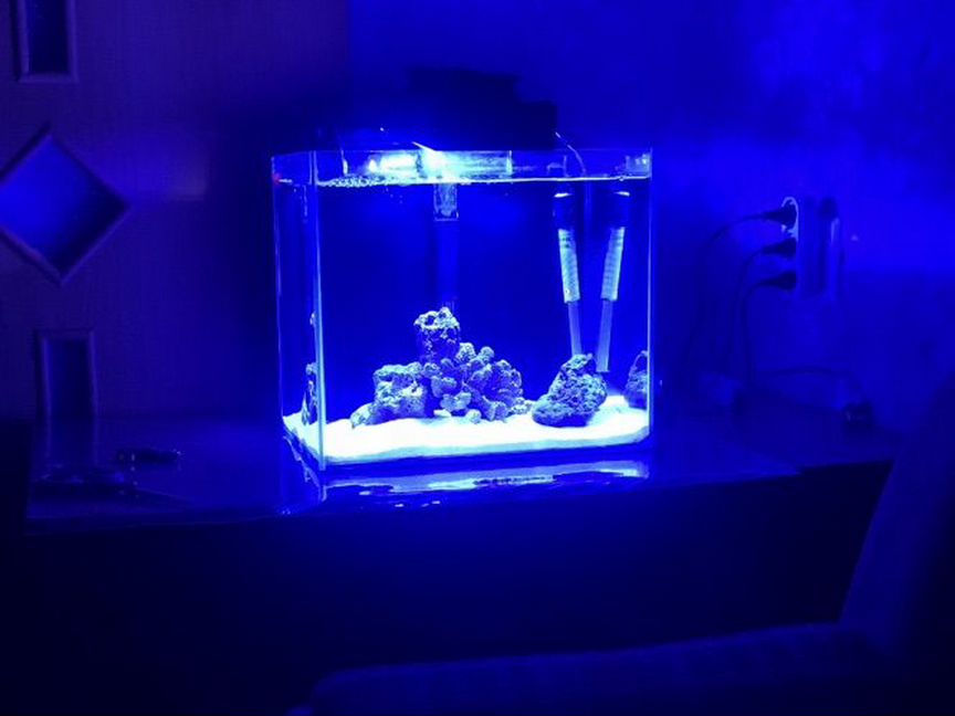 Морской аквариум