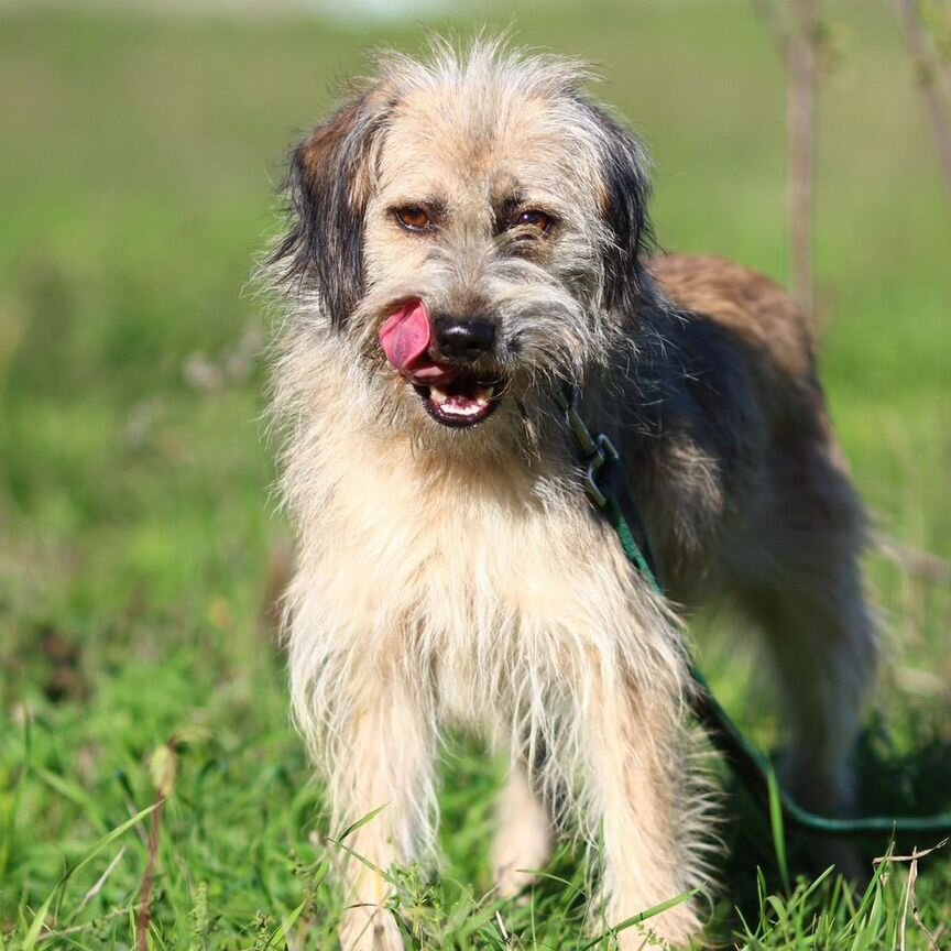 Счастье должно быть таким