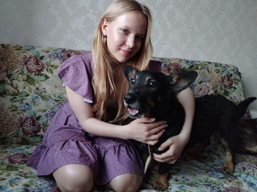 Некрупный пес Бекас