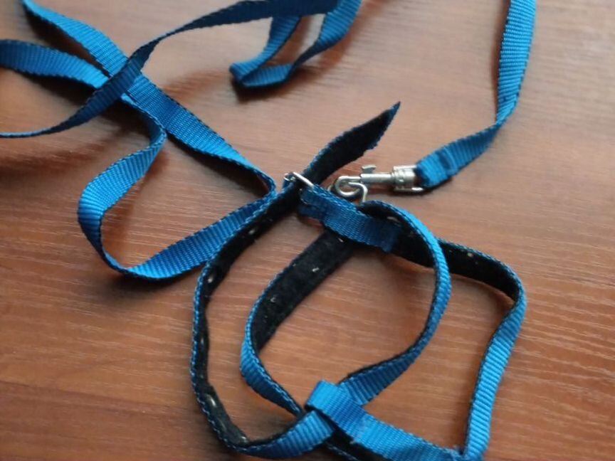 Поводок для кота