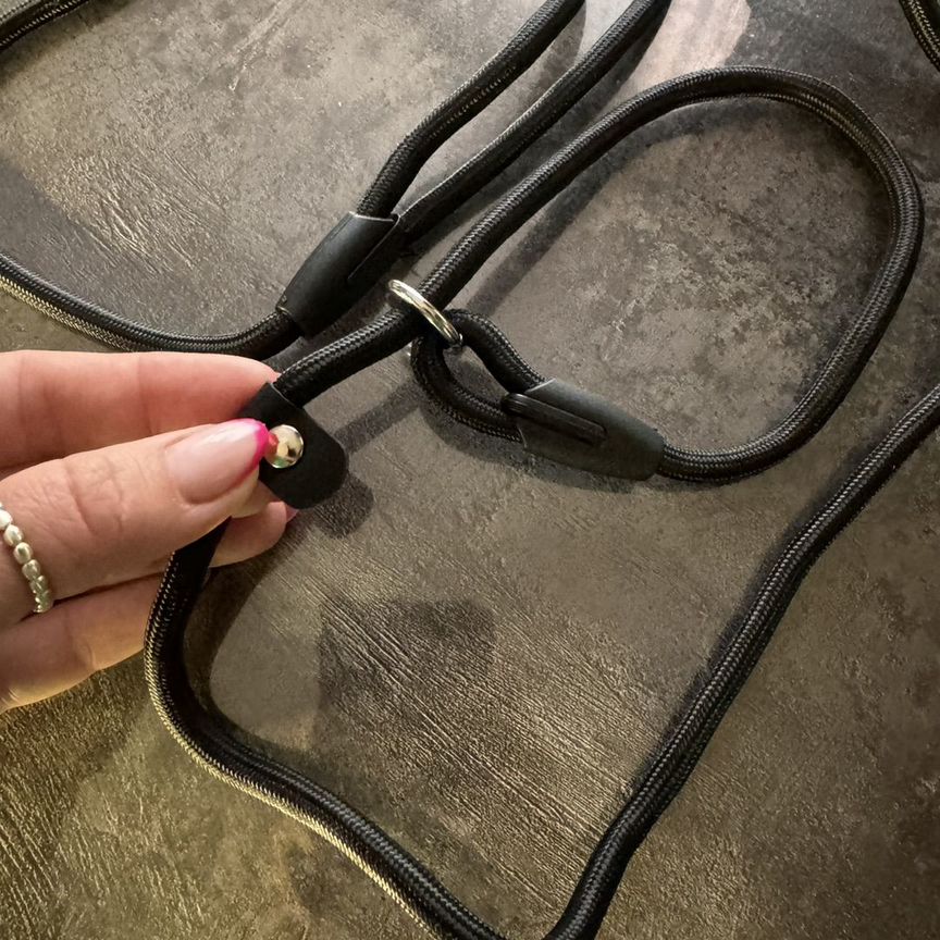 Ринговка для выставки