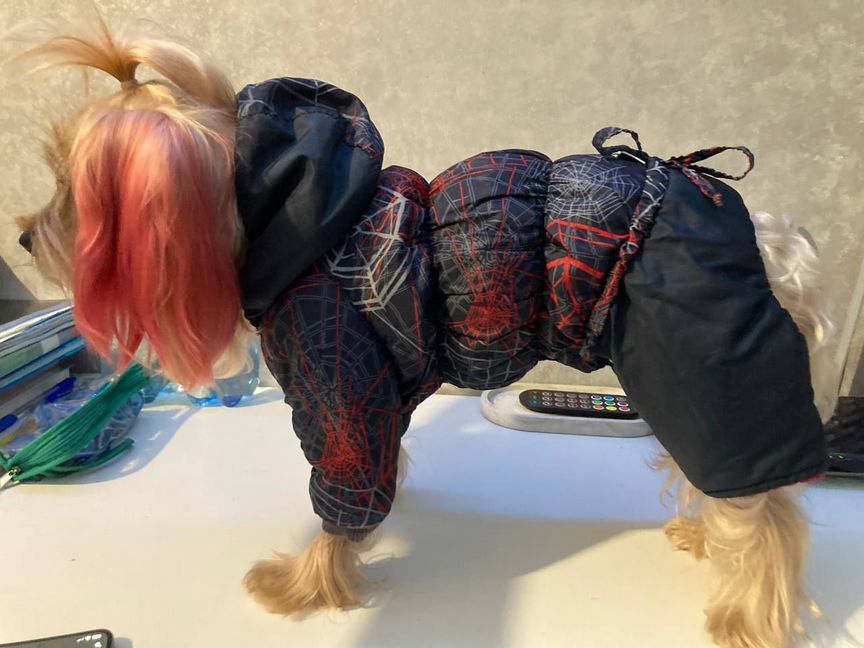 Комбенизон для собак мелких пород зимний DogModa