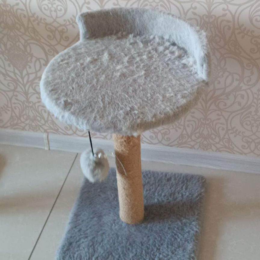 Когтеточка