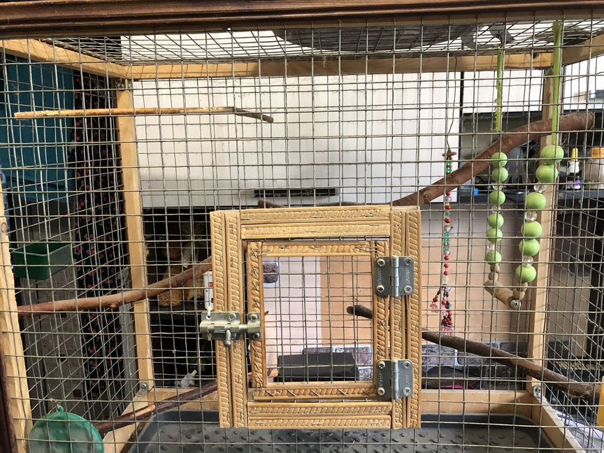 Клетка для попугая