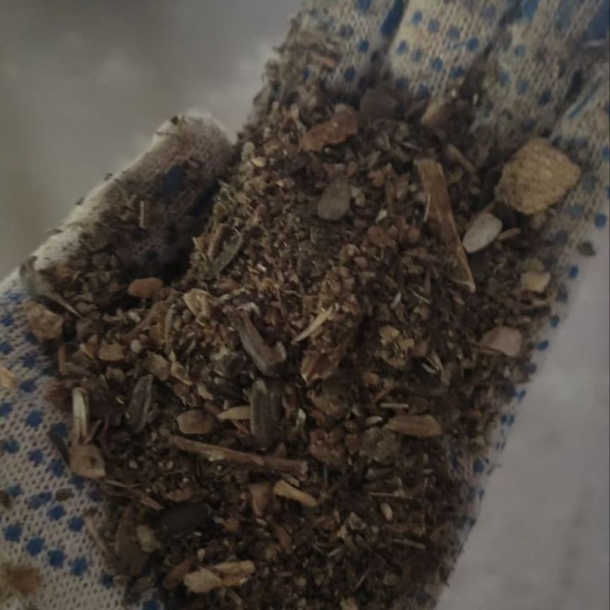 Отходы семечки