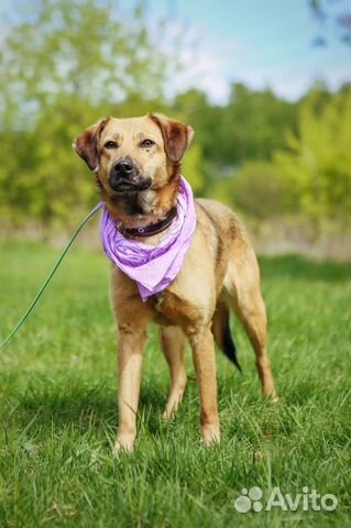 Молодая смелая красивая