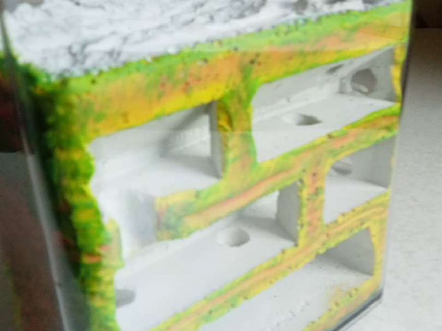 Формикарий для понерин вертикальный