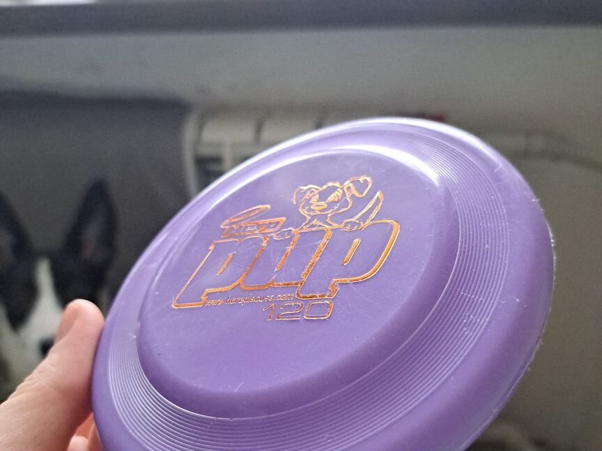 Фрисби для собак Hero Pup