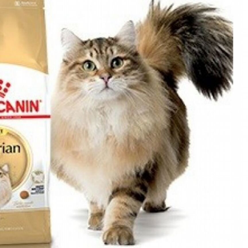 Корм д/кошек Royal Canin Siberian Adult, 6 кг