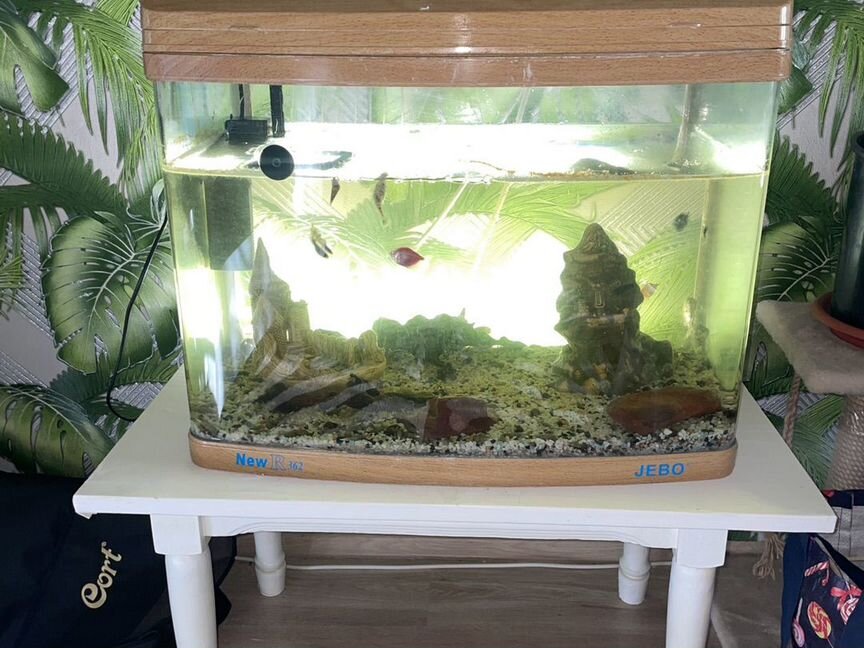 Аквариум с рыбками