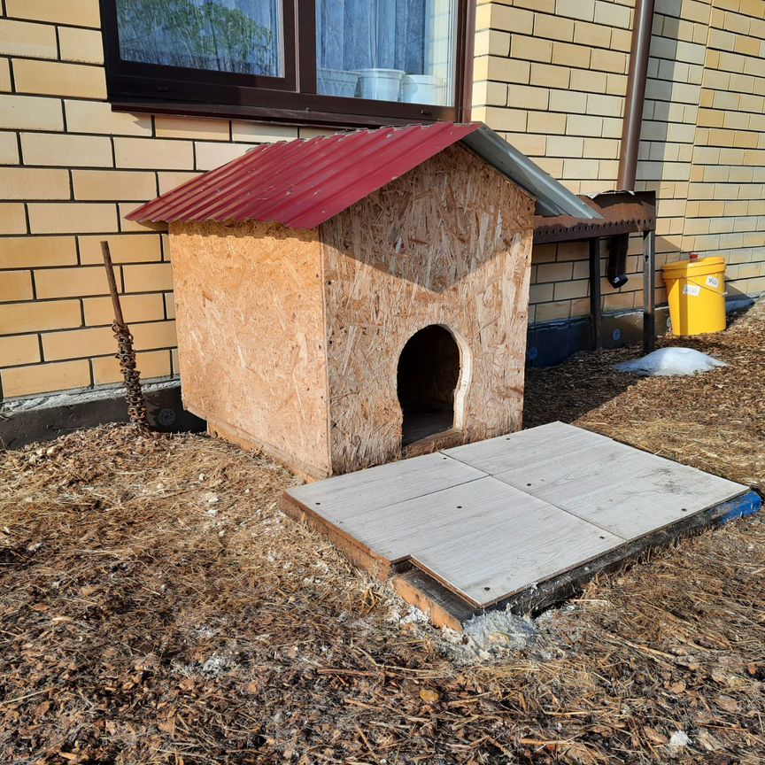 Будка для собаки утепленная бу