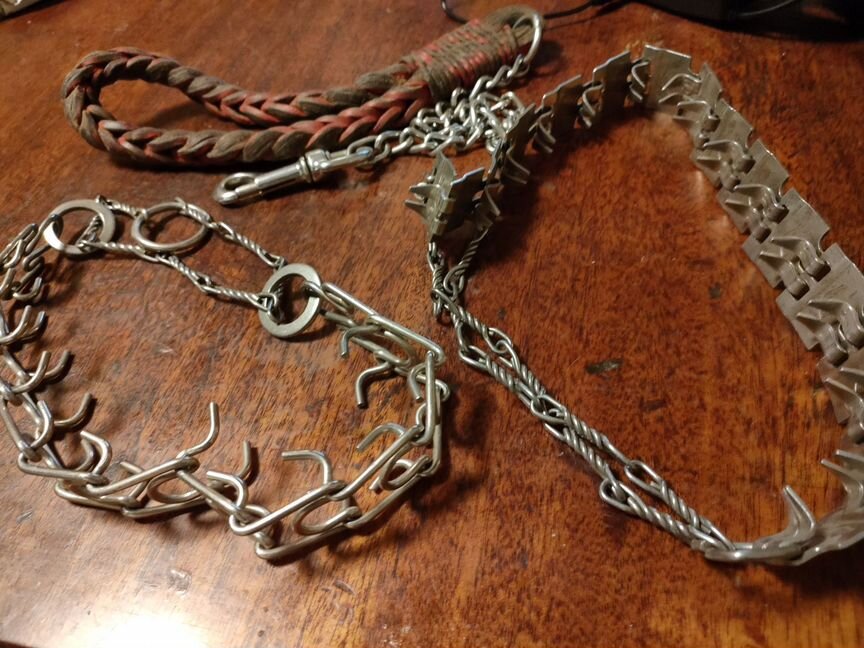 Ошейник для собак строгий