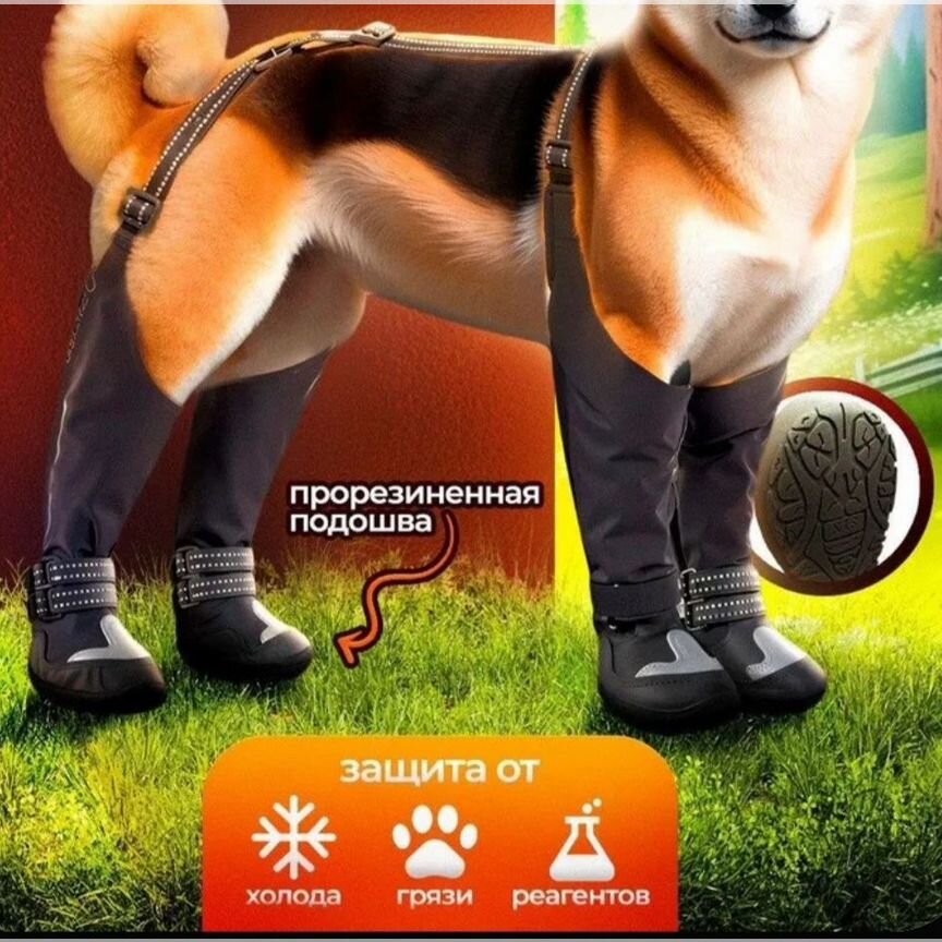 Обувь для собак мелких пород