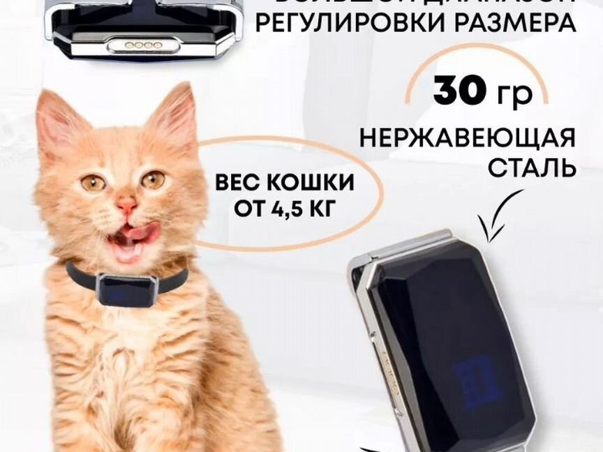 GPS ошейник