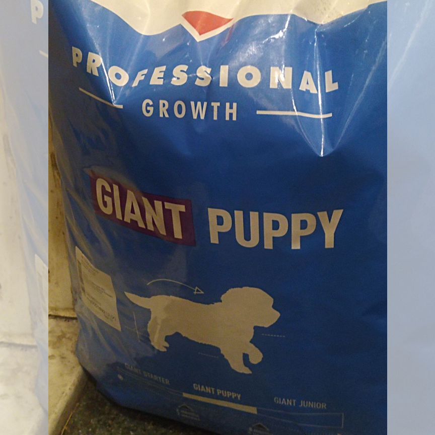 Корм для собак