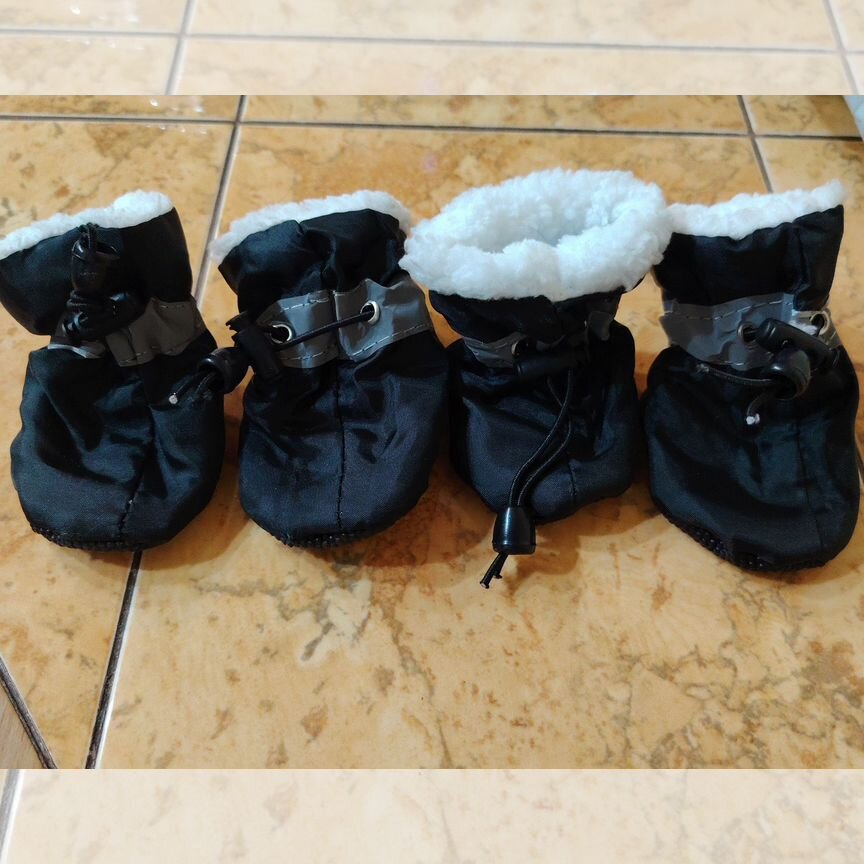 Ботинки для собак