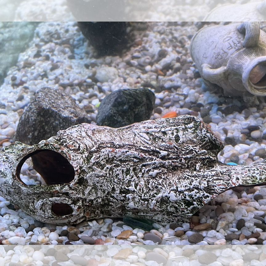 Аквариумный декор. Коряга, коралл, черепаха