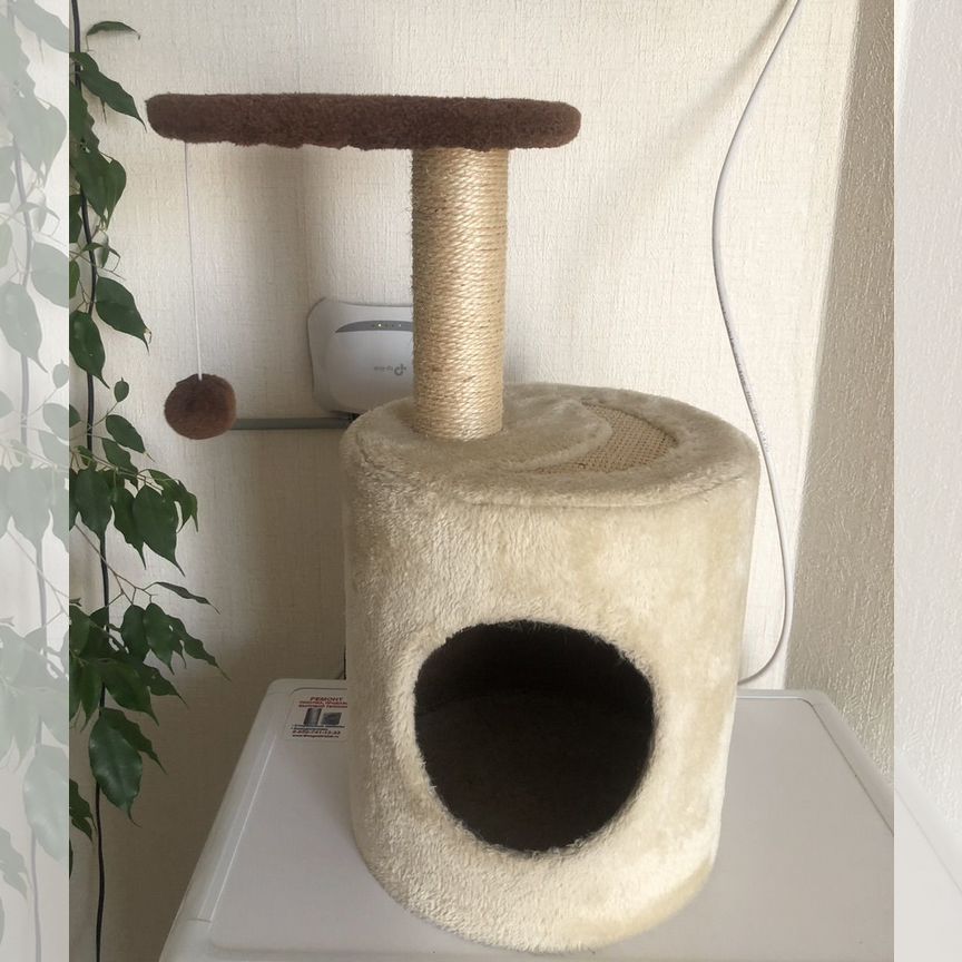 Кошачий домик