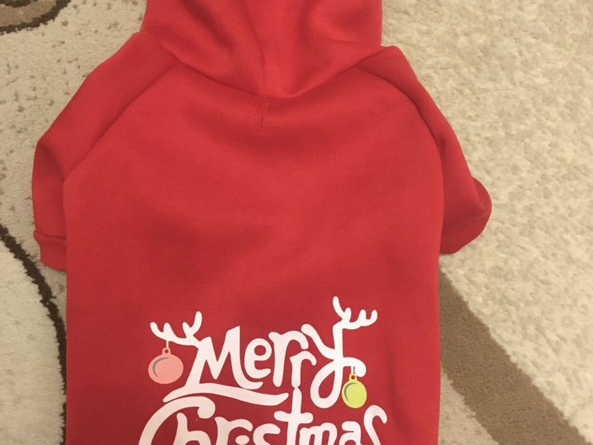 Кофта для собаки