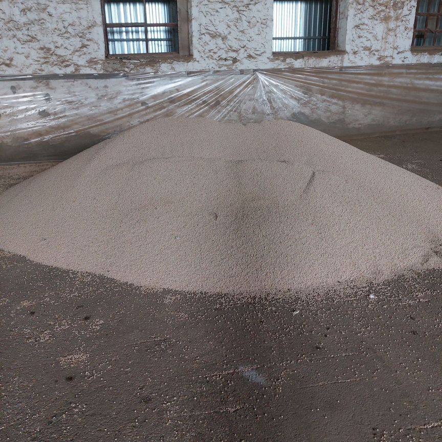 Горох сортированный