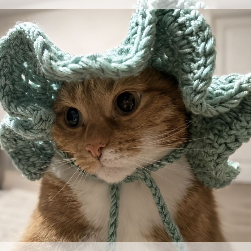 Шапочка панамка для кошки