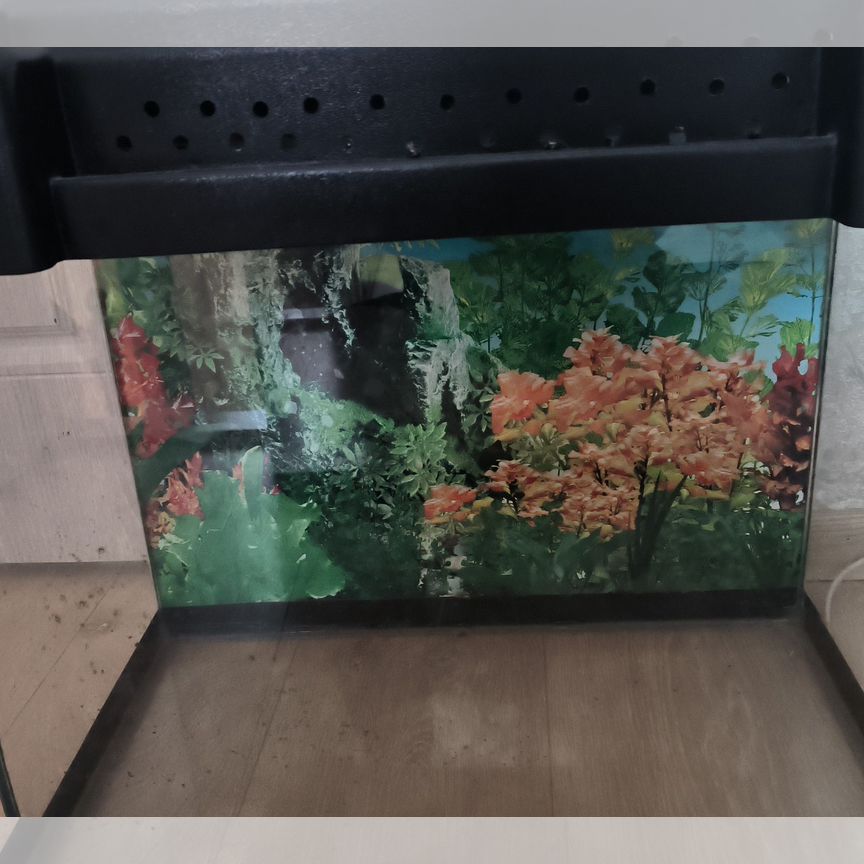 Аквариум бу 45 литров