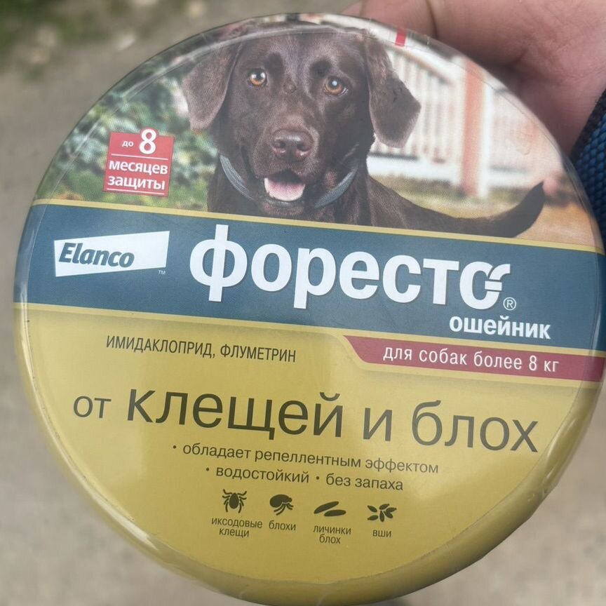 Ошейник для собак