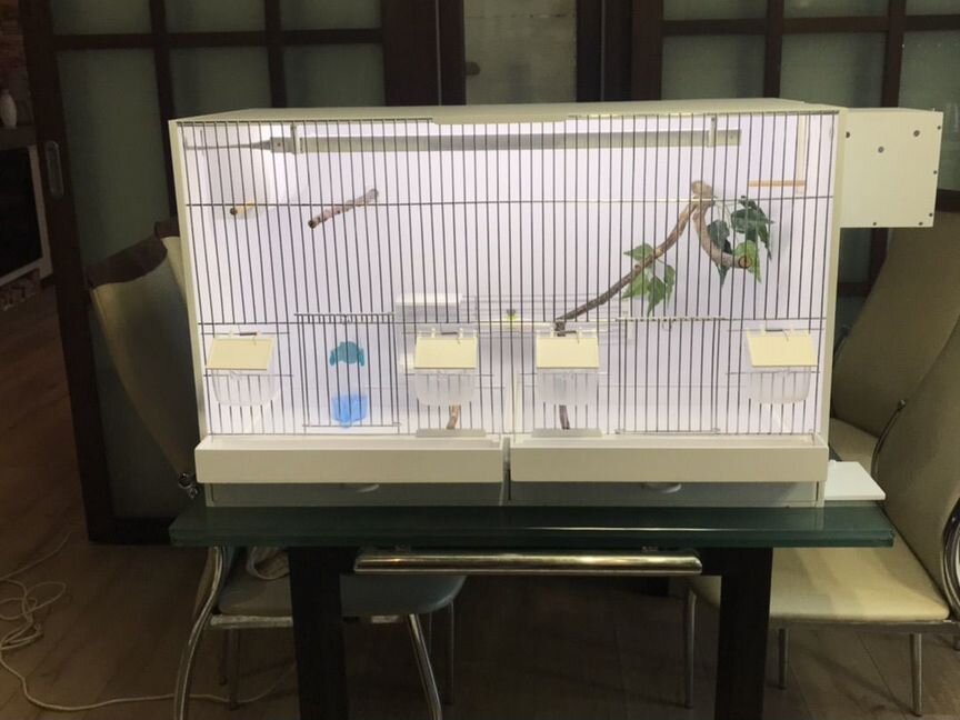 Бокс для экзотических птиц 2шт