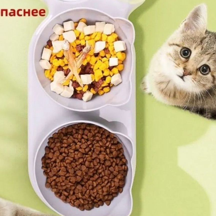 Миски для кошек на подставке