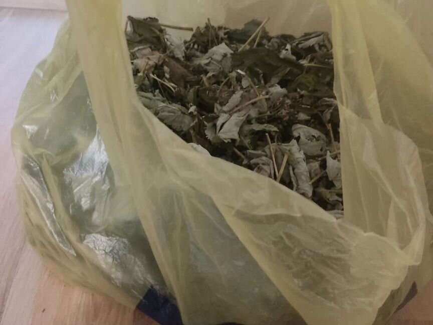 Листики малины и связка цикория для шиншиллы