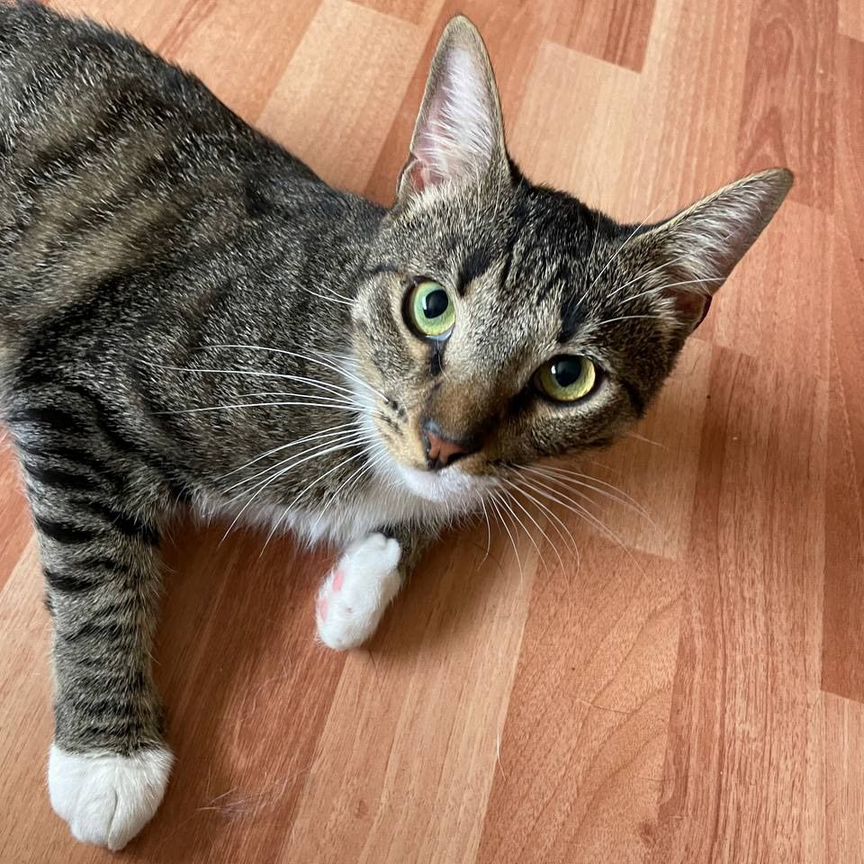 Я хочу домой