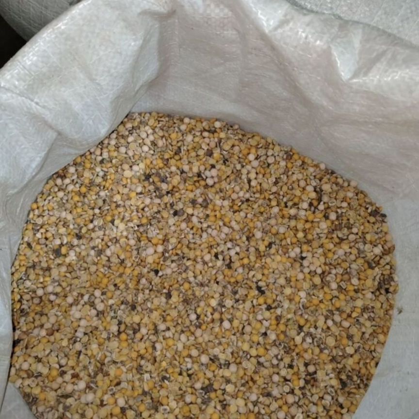 Горох колотый