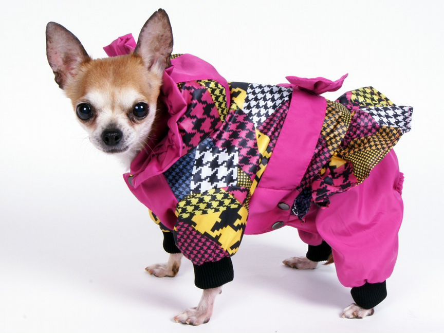 Красивый дождевик с юбкой