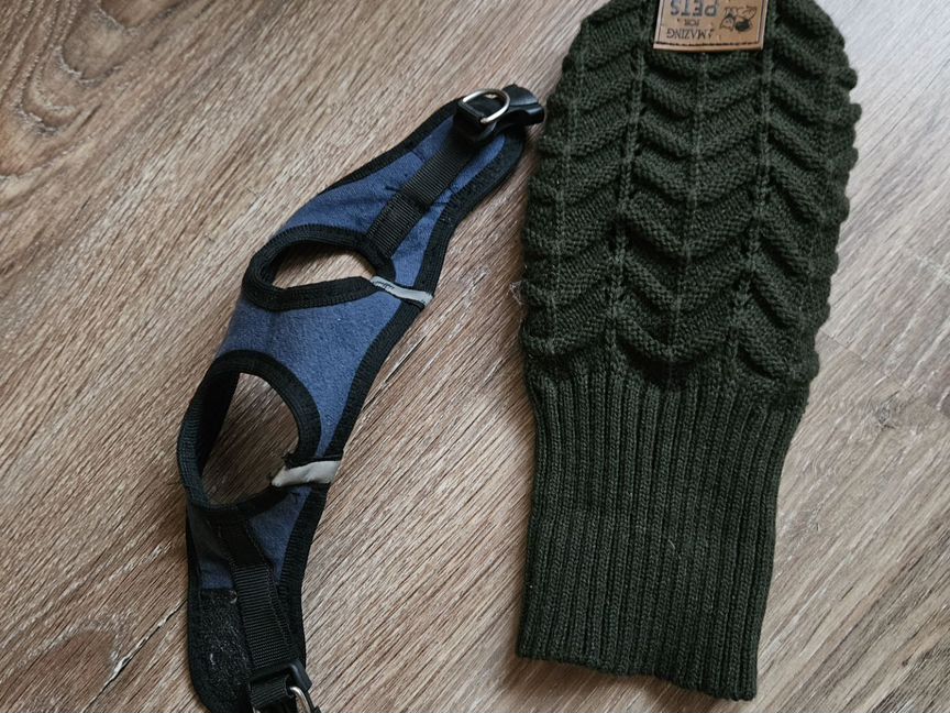 Шлейка, кофта для животных