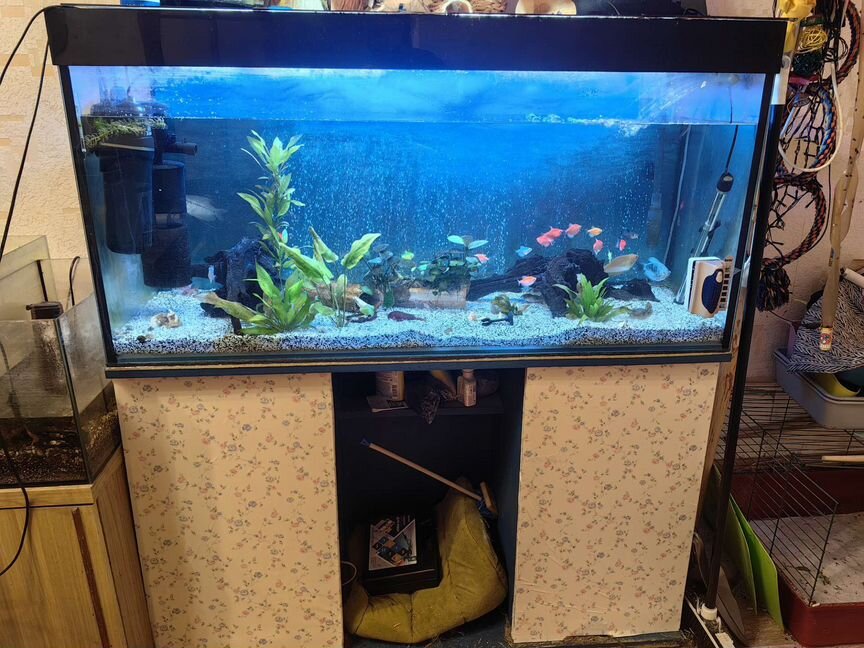 Аквариум со всем содержимым