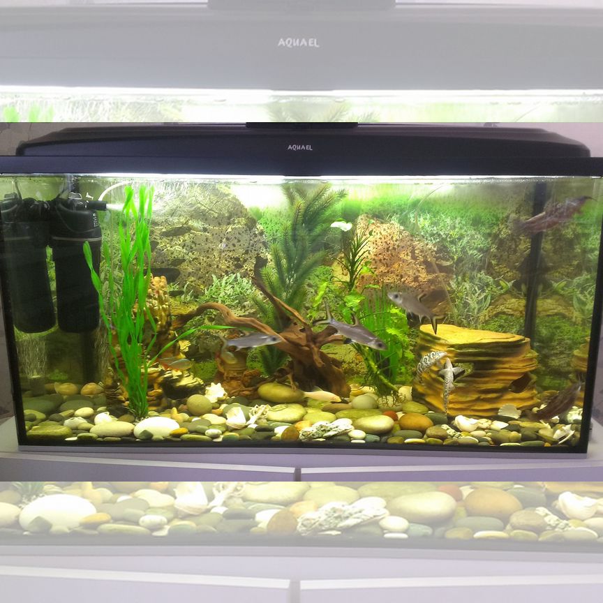 Аквариум aquael 200 литров