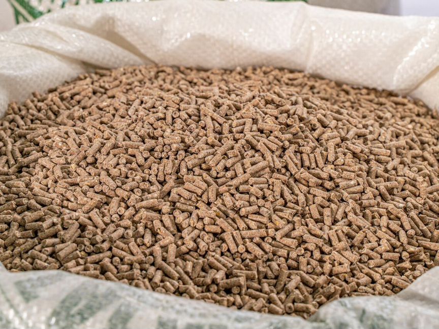 Комбикорм для свиней и поросят