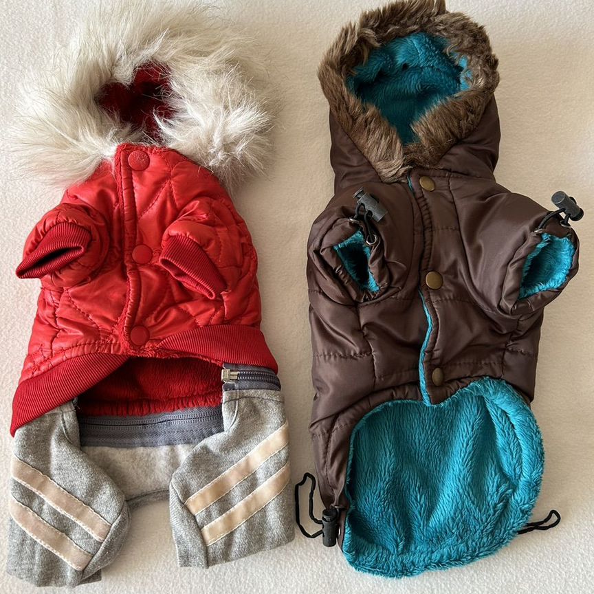 Одежда для маленьких пород собак