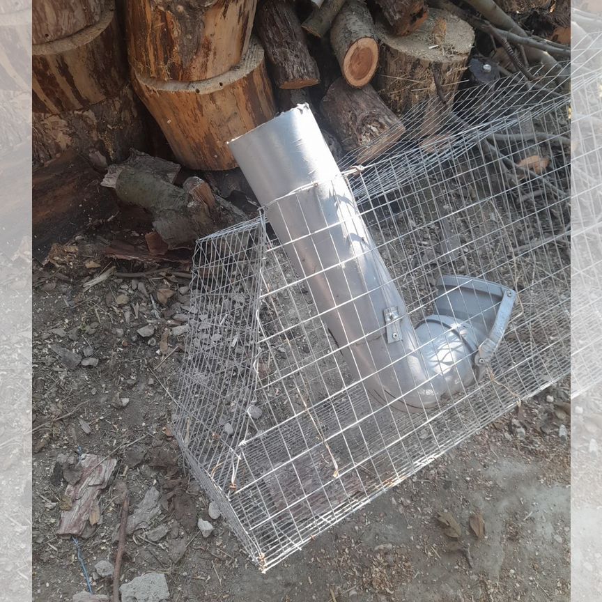 Клетки для кур или кролей