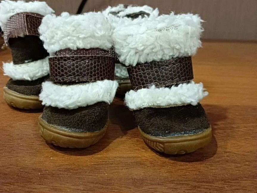 Обувь для маленьких собак