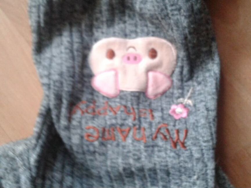 Одежда для собак