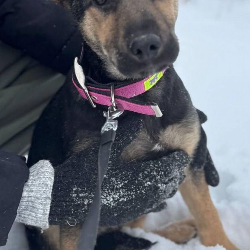 Единственный, кто уцелел