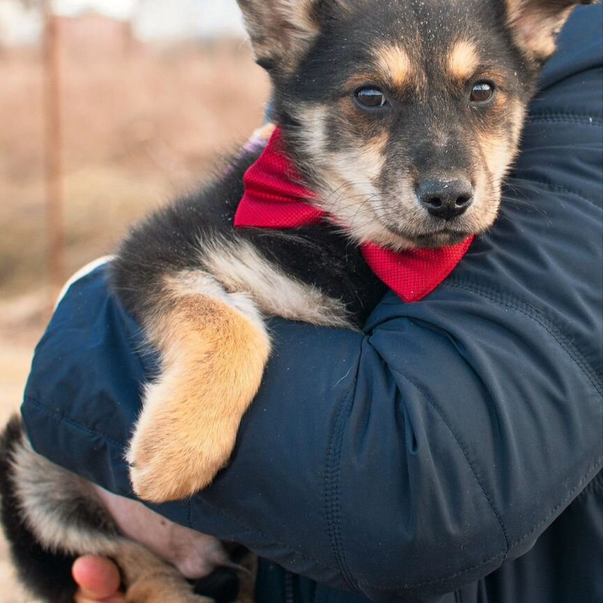 Класнуля 3 мес