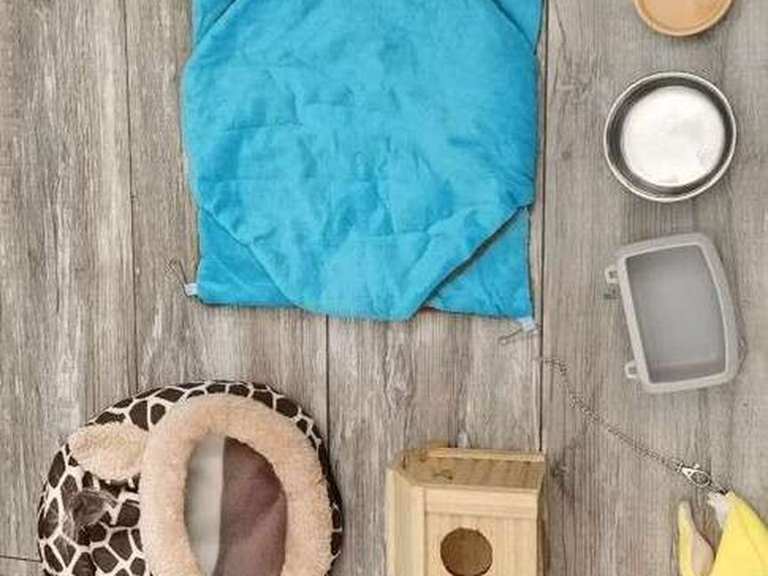 Вещи для хомяков, крыс