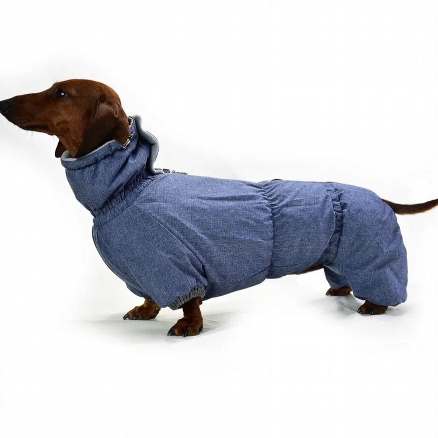 Вещи на таксу