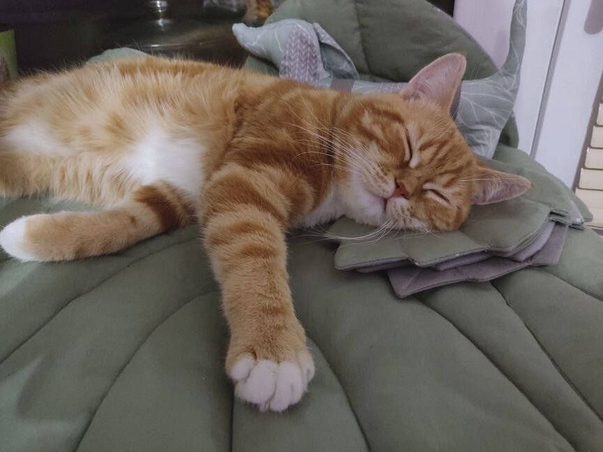 Коврик Листик, лежанка для кошки