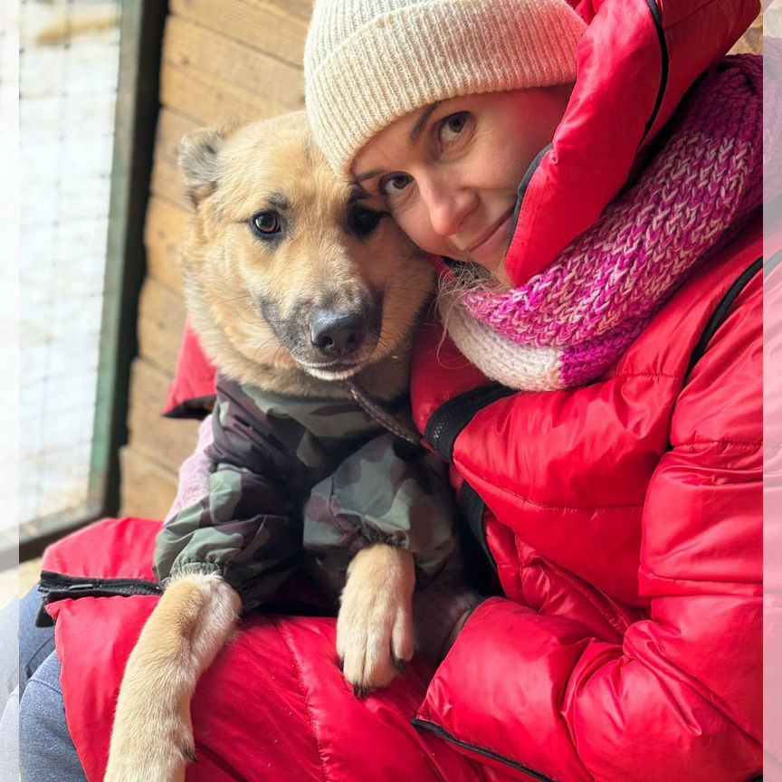 Щенок в добрые руки