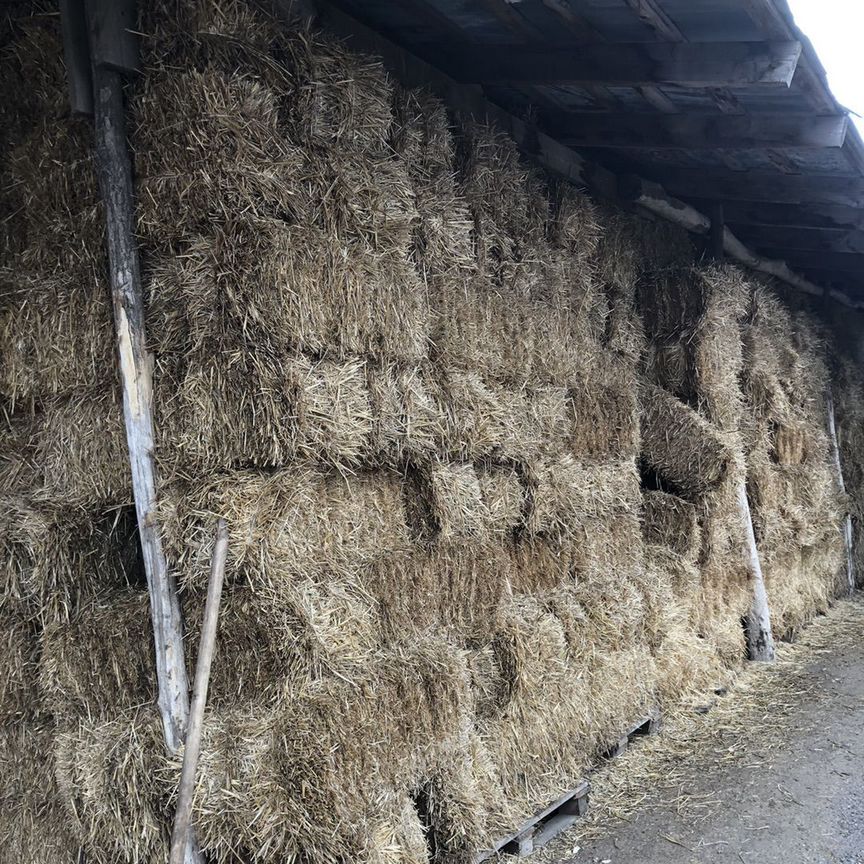 Солома в тюках
