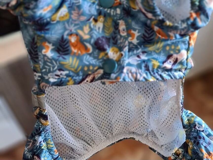 Дождевик для маленькой собаки xs + шлейка