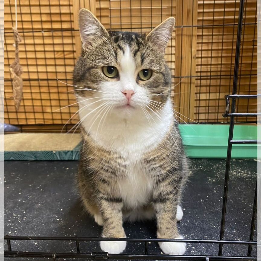 В самые любящие и заботливые ручки